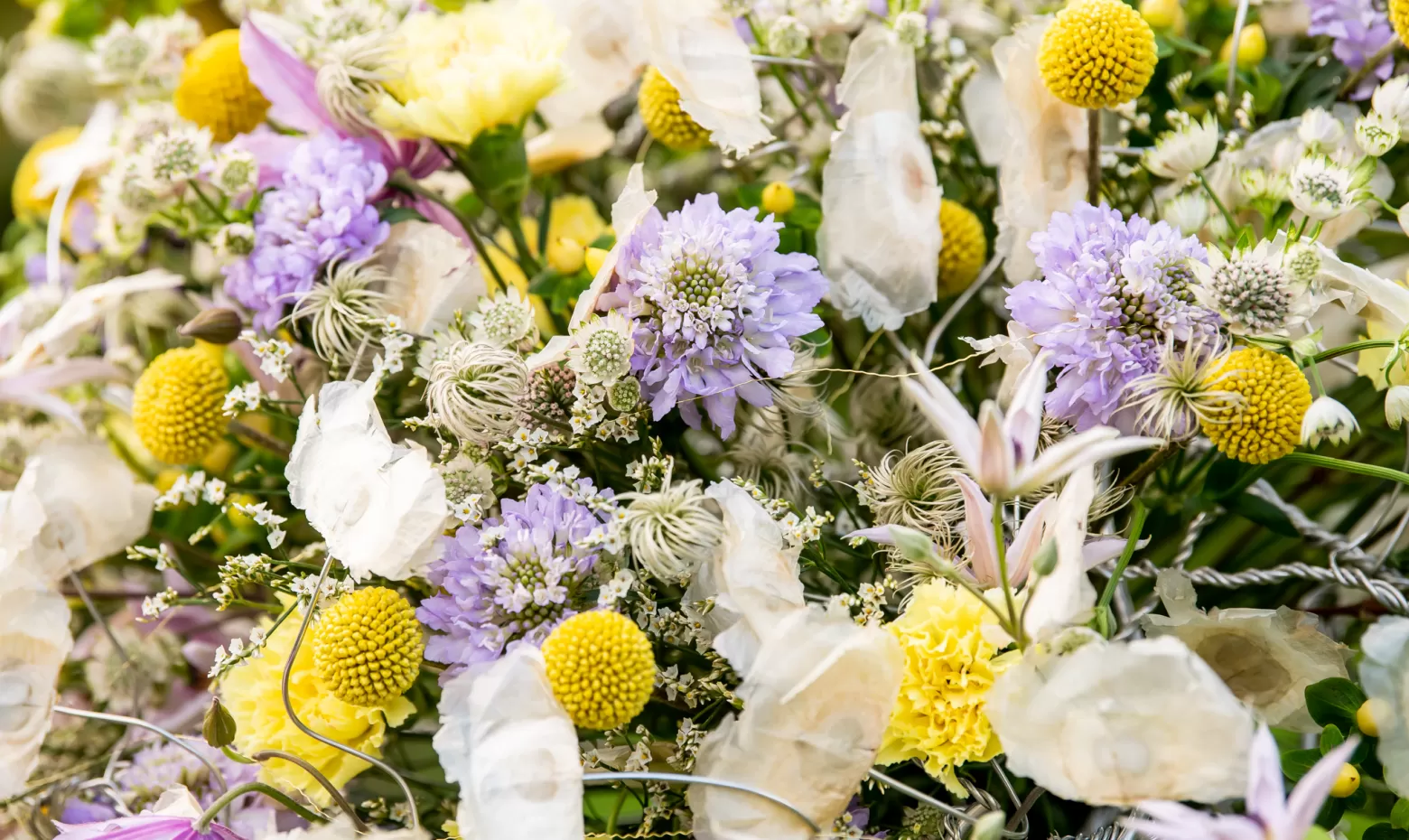 An exclusive Masterclass | Marginpar